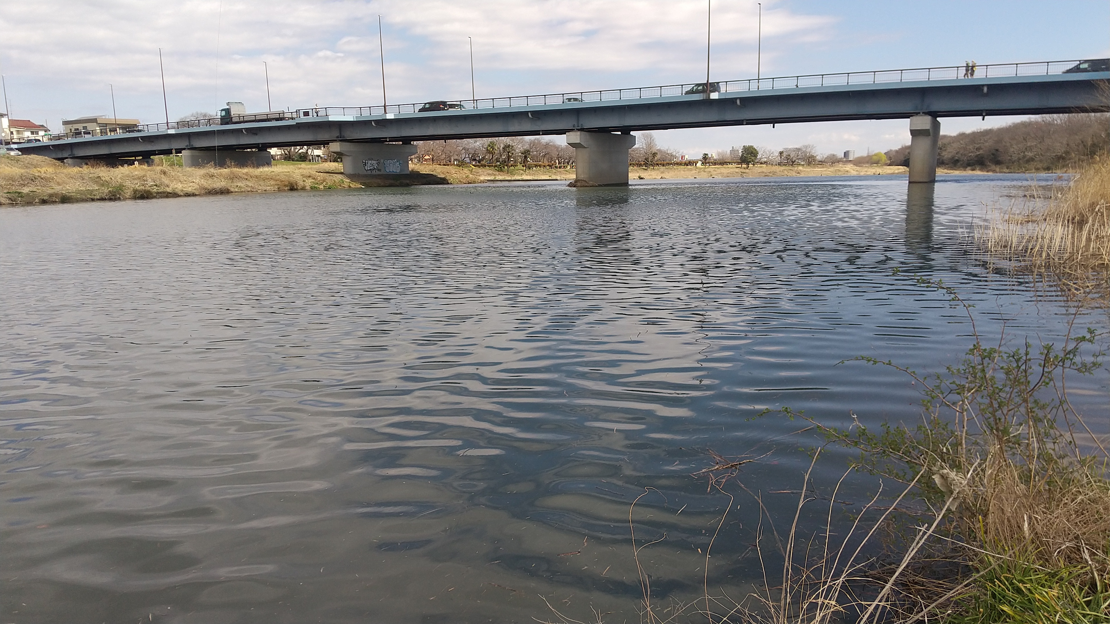 入間川2025初釣行: 建築士★さる課長チャンネル